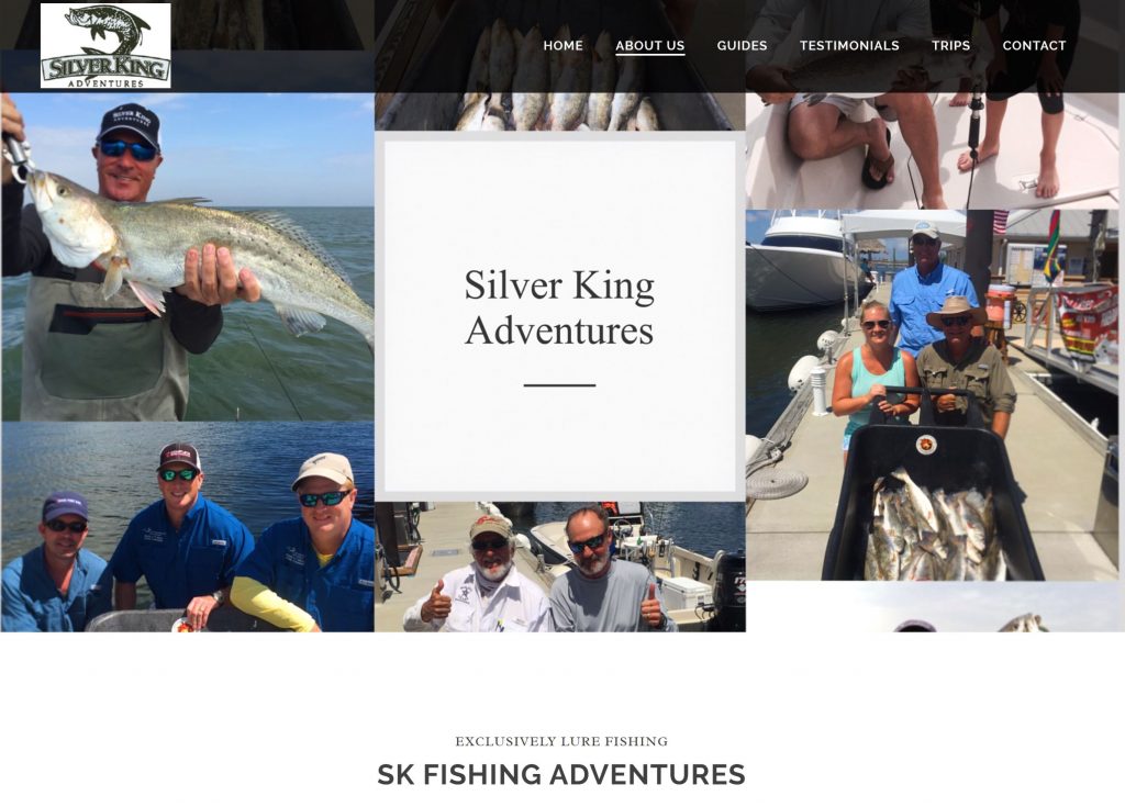 website-capture - Falcontail Marketing & Design